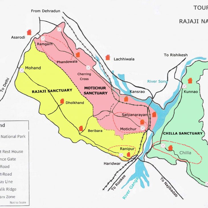 Rajaji National Park Blog